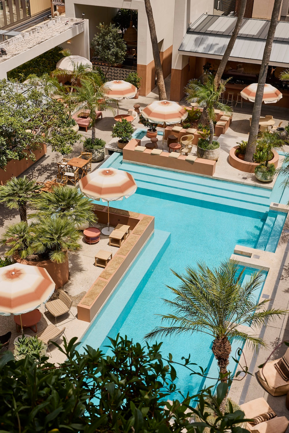 Jimmy's Rooftop – Basil Bangs