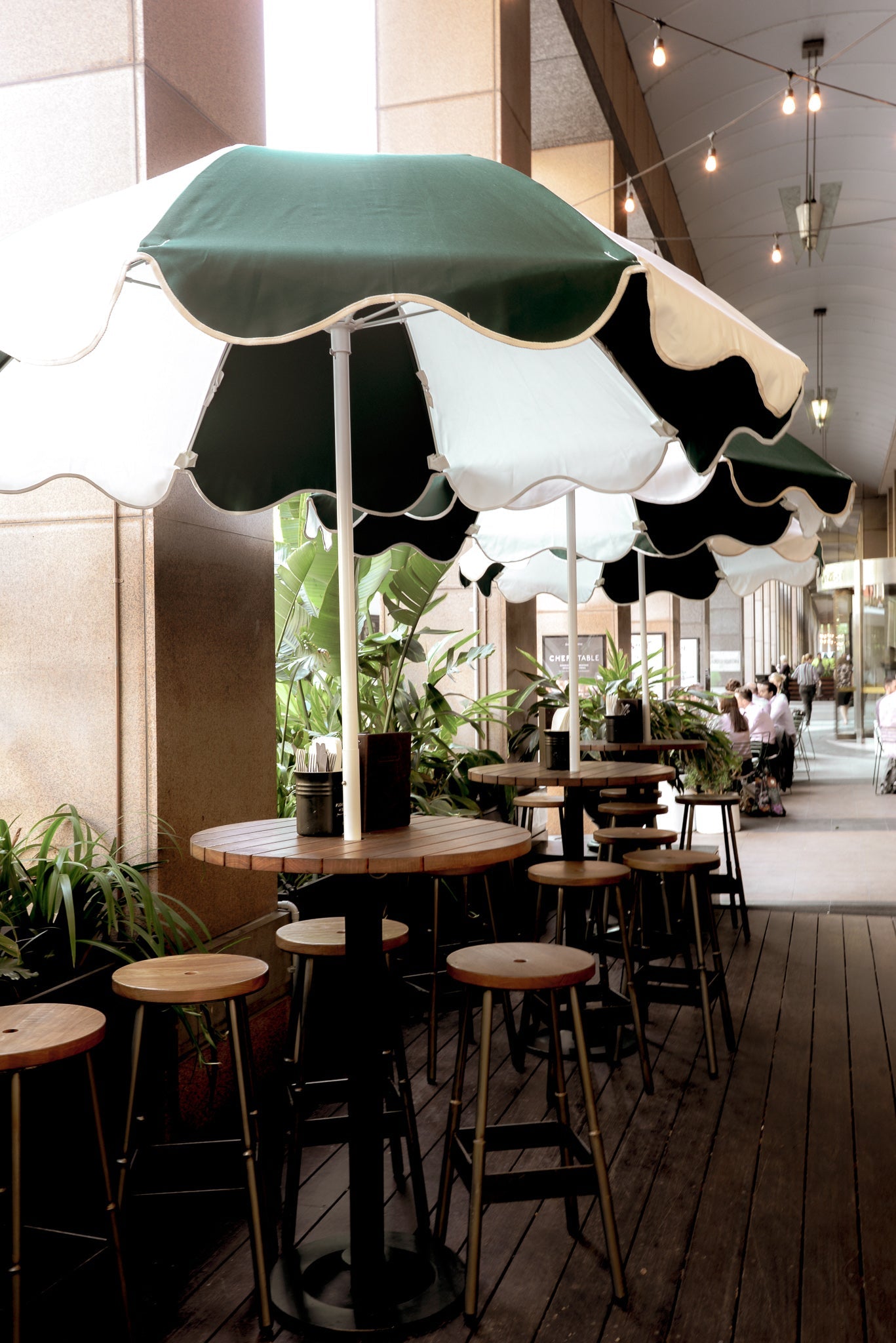 Basil Projects | Bopp and Tone – Basil Bangs