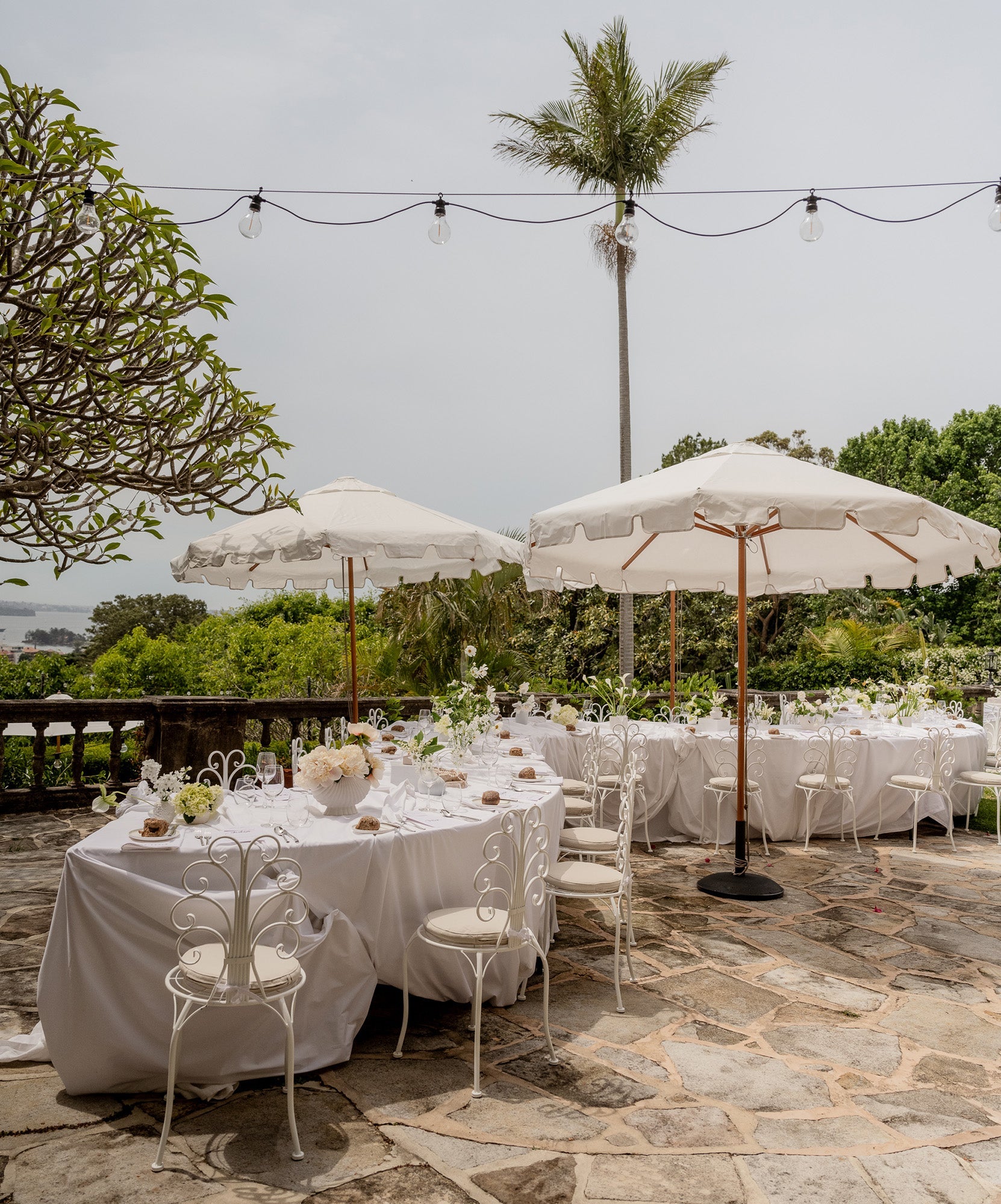 Celebrating with Jan Logan – Basil Bangs