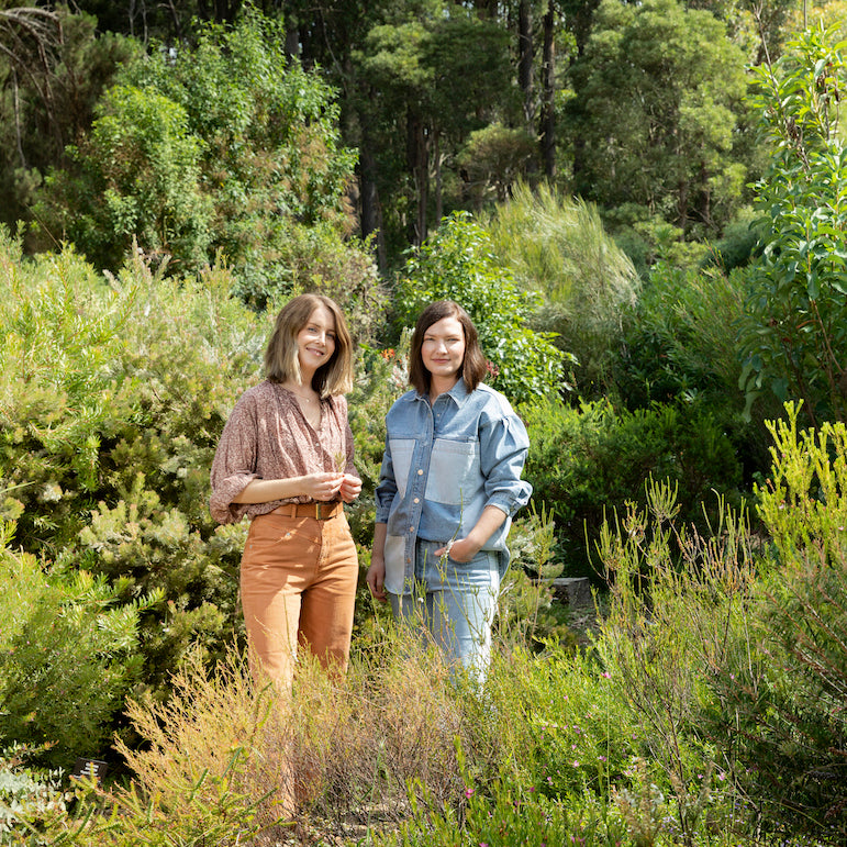 Field Day x Basil Bangs