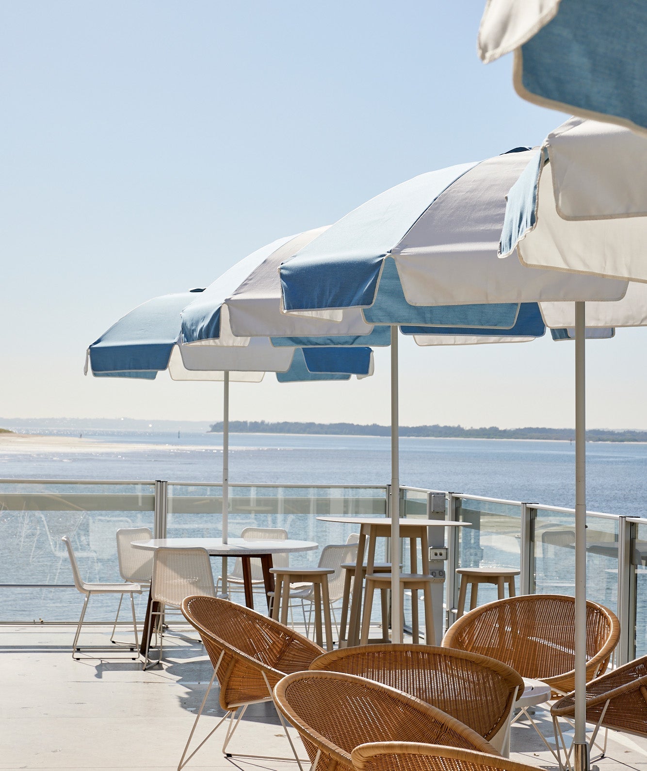 Basil Projects | St George Sailing Club – Basil Bangs