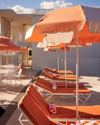 The Berry View Hotel – Basil Bangs