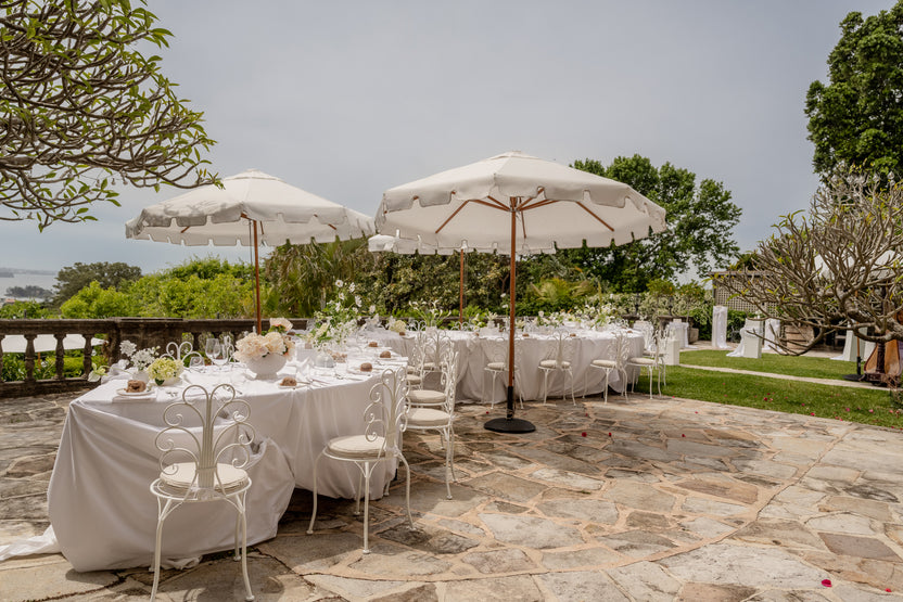 Celebrating with Jan Logan – Basil Bangs